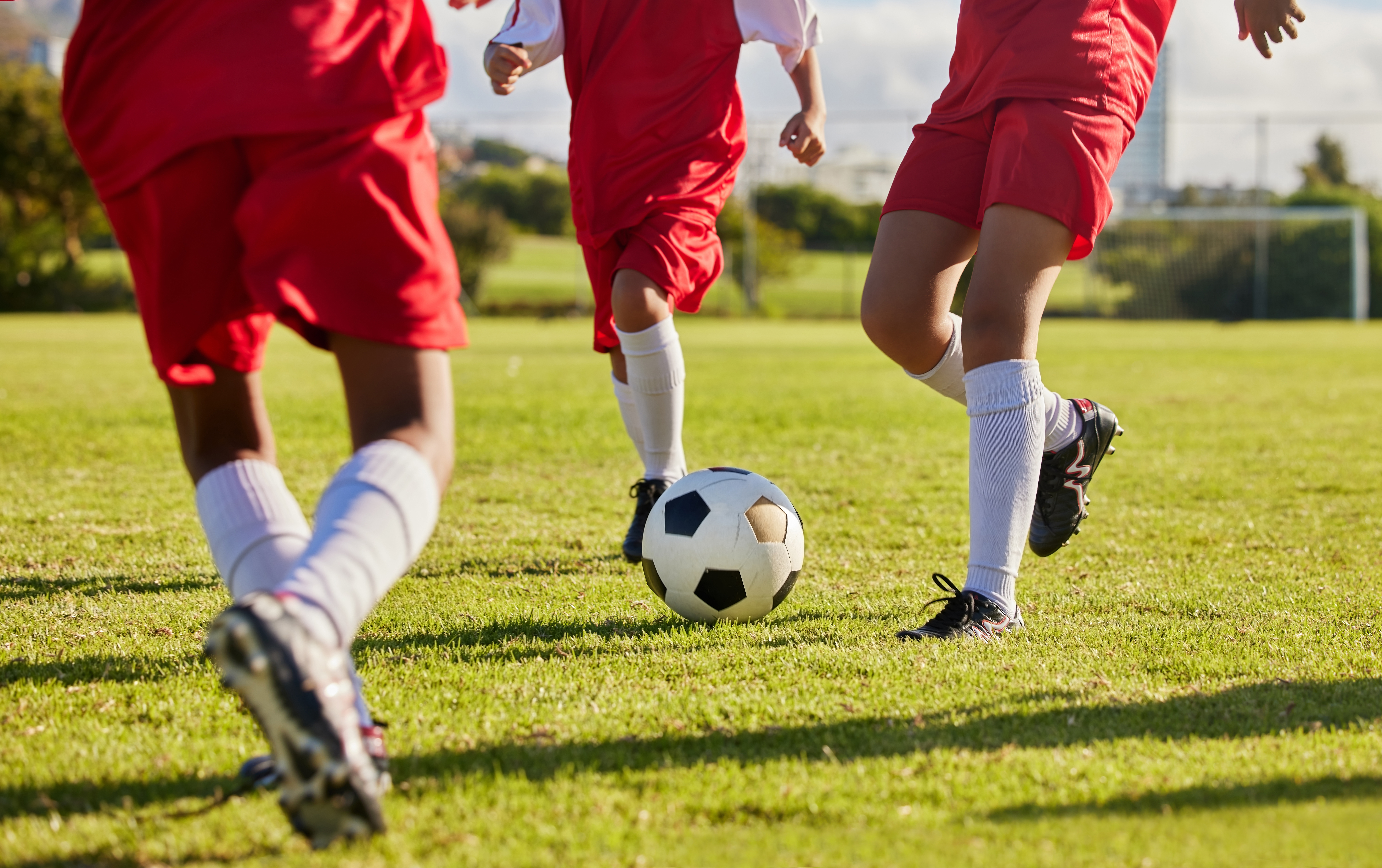 Sports Teams | Ramkota Hotel & Conference Center